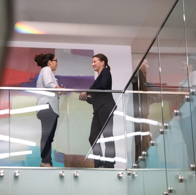 Jobs und Ausbildungen an unseren Standorten – MSD